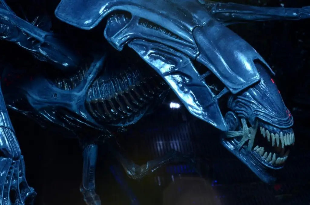 Aliens Xenomorph Queen Deluxe Action Figure NECA – GEEKLOVEPH TOY STORE