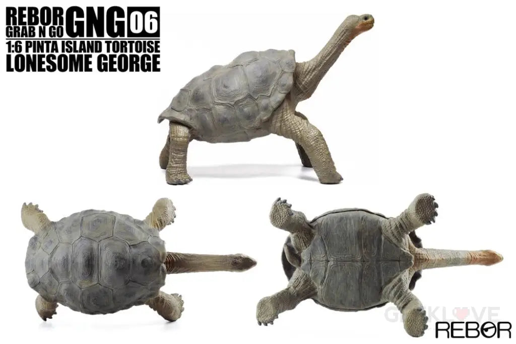 REBOR GNG 06 1:6 Pinta Island Tortoise "Lonesome – GEEKLOVEPH TOY STORE