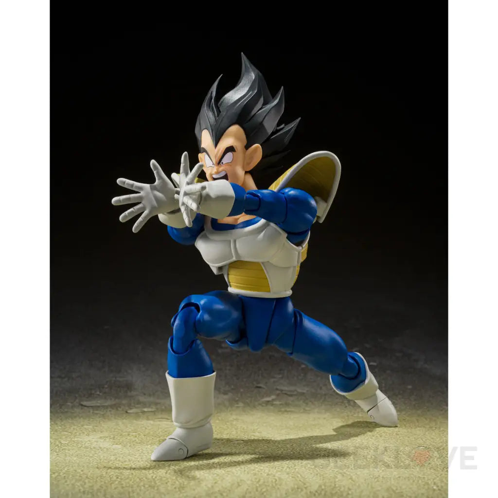 S.H.Figuarts Vegeta 24000 Power Level Bandai – GEEKLOVEPH TOY STORE